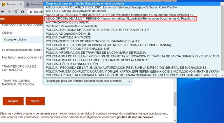Redactar la Carta del Asilo: Cómo Hacerlo